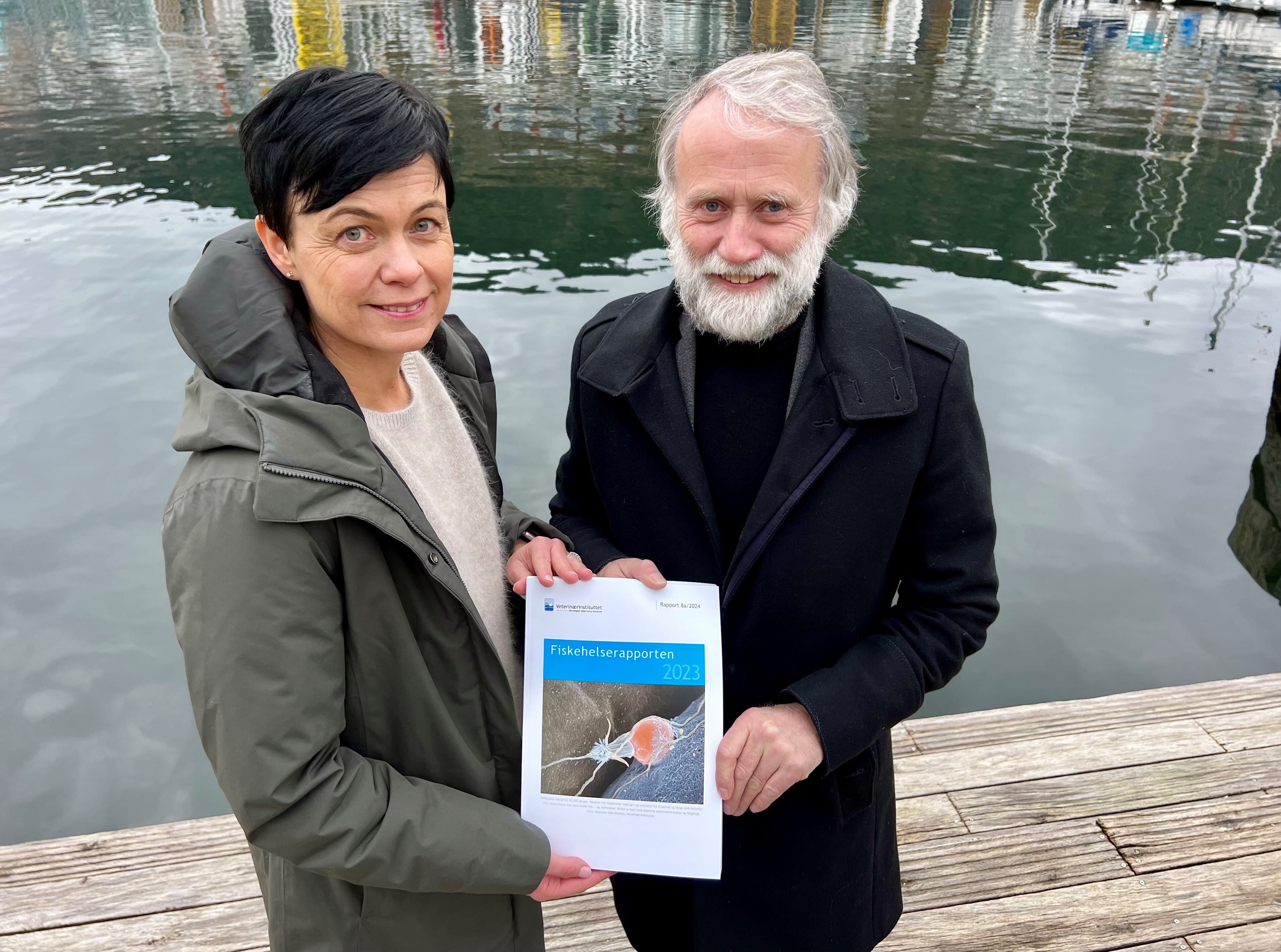 Annual Fish Health Report details causes of salmon mortality | The Fish Site